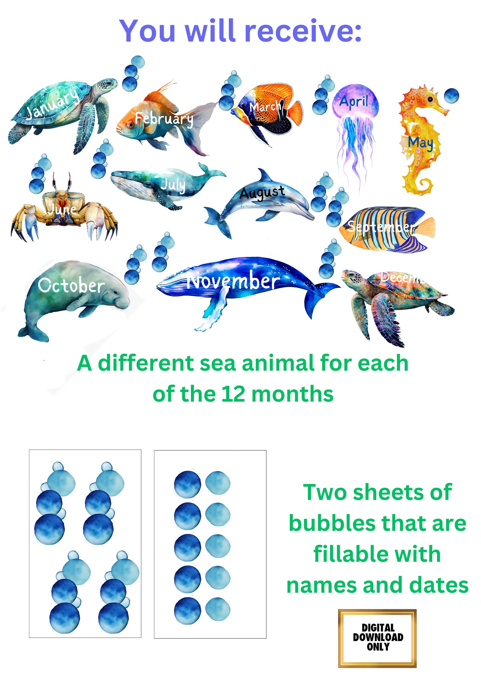 Sea Animals Birthday Display for Classroom, Sealife Student Birthday ...