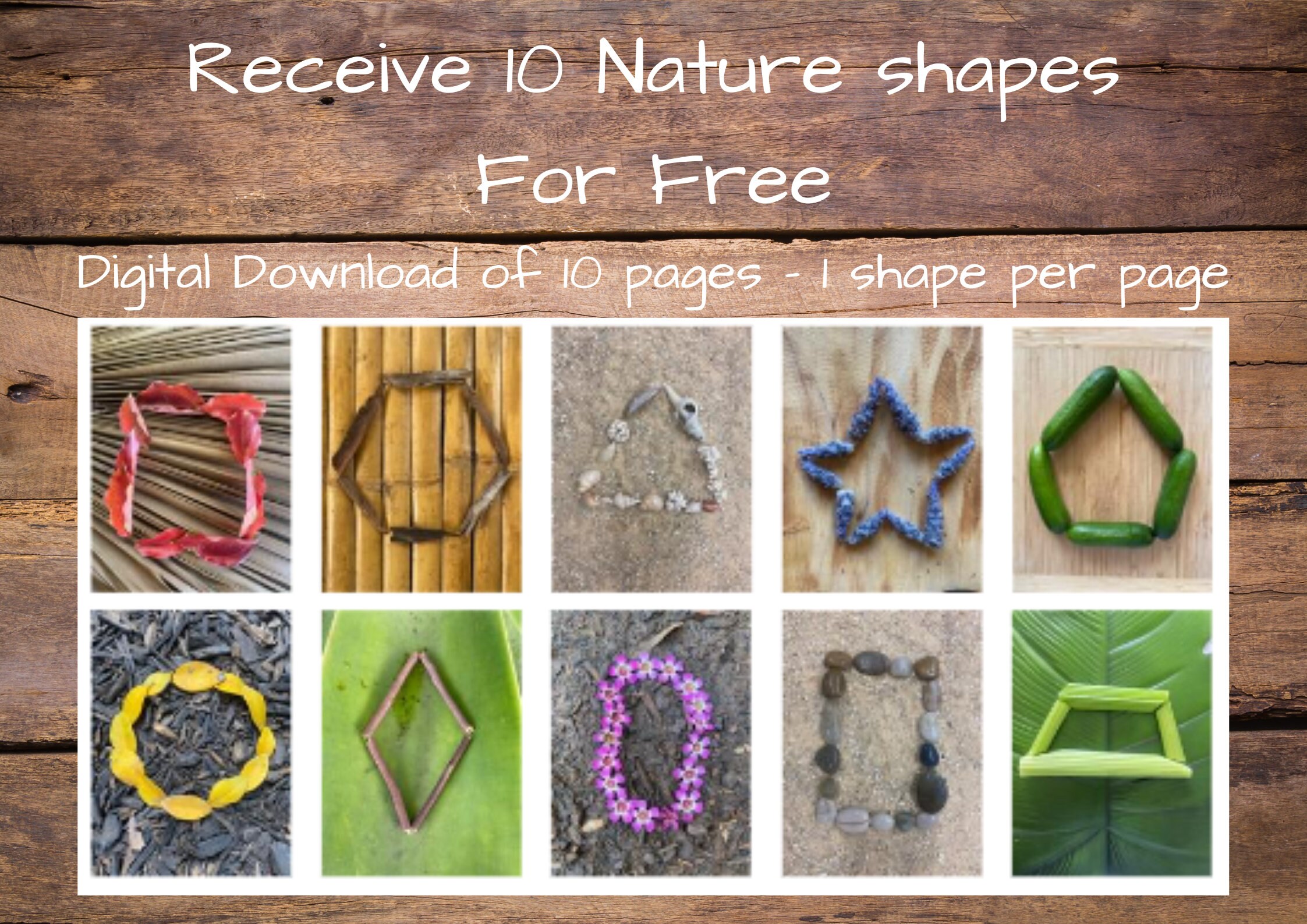 Classroom Numbers, Printables Printable, Natural, Numbers, Objectives ...