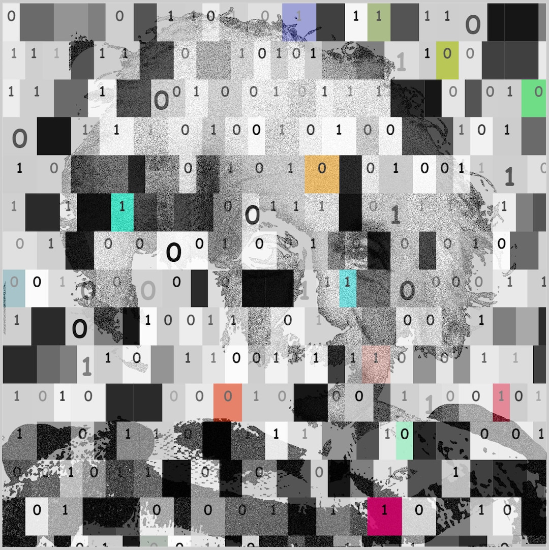 Einstein Puzzle - Etsy