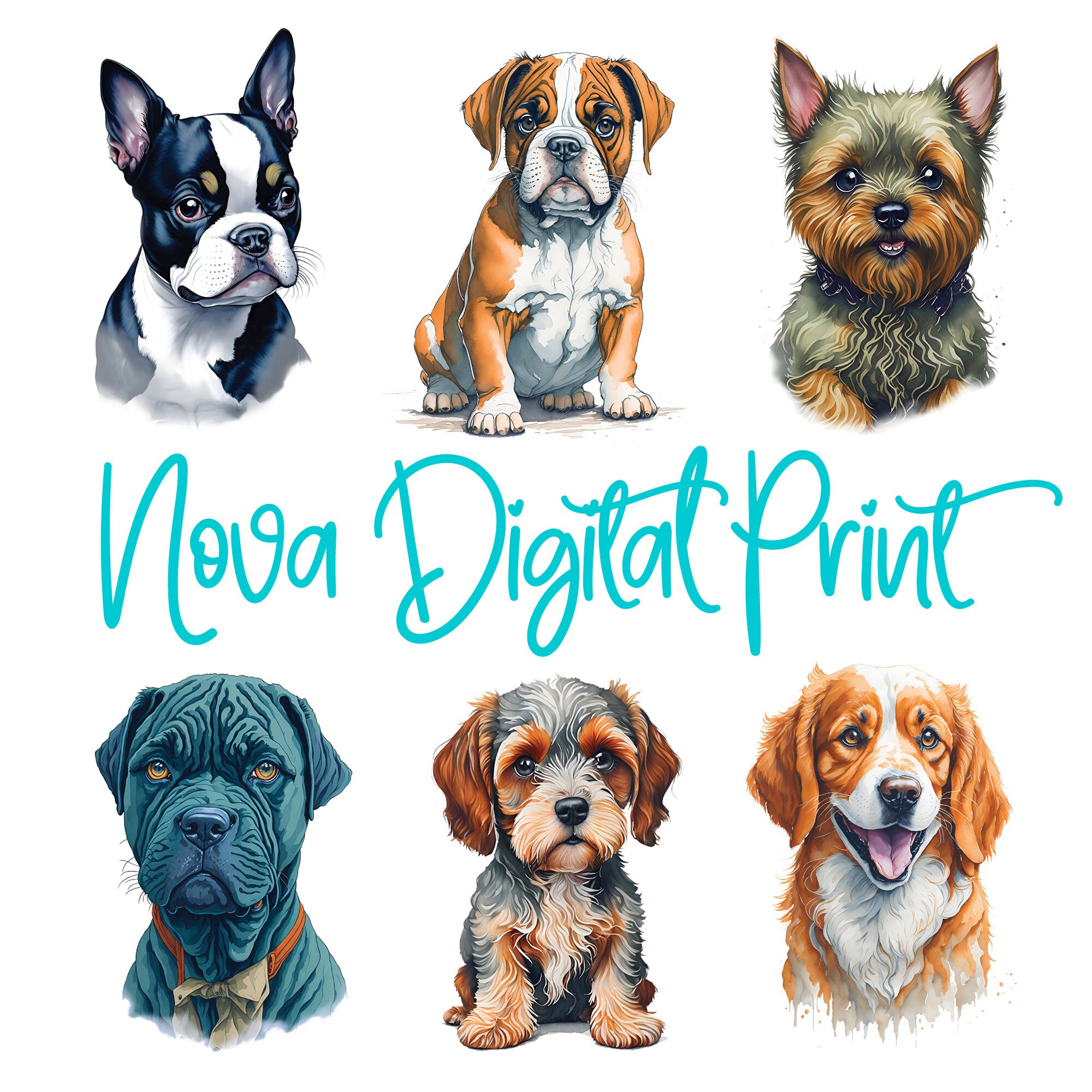 Cute Popular Dog Breeds Digital Clipart Printables Gift Dog Lover ...