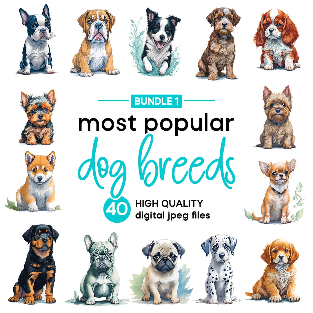 Beautiful Dog Breeds Digital Clipart Collection Gift for Dog Owner Cute ...