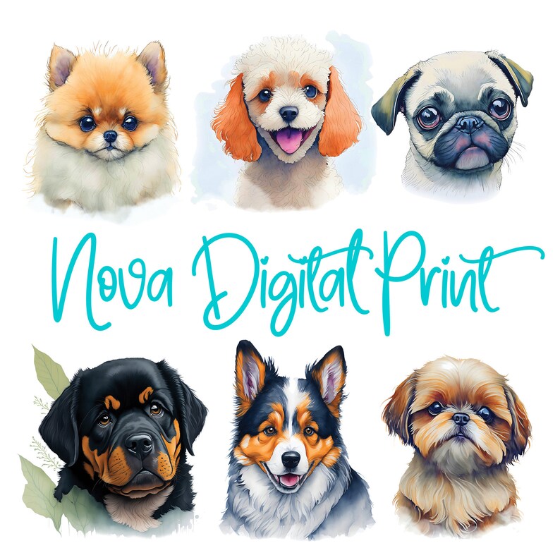 Most Popular Dog Breeds Digital Clipart Collection Cute Dog ...