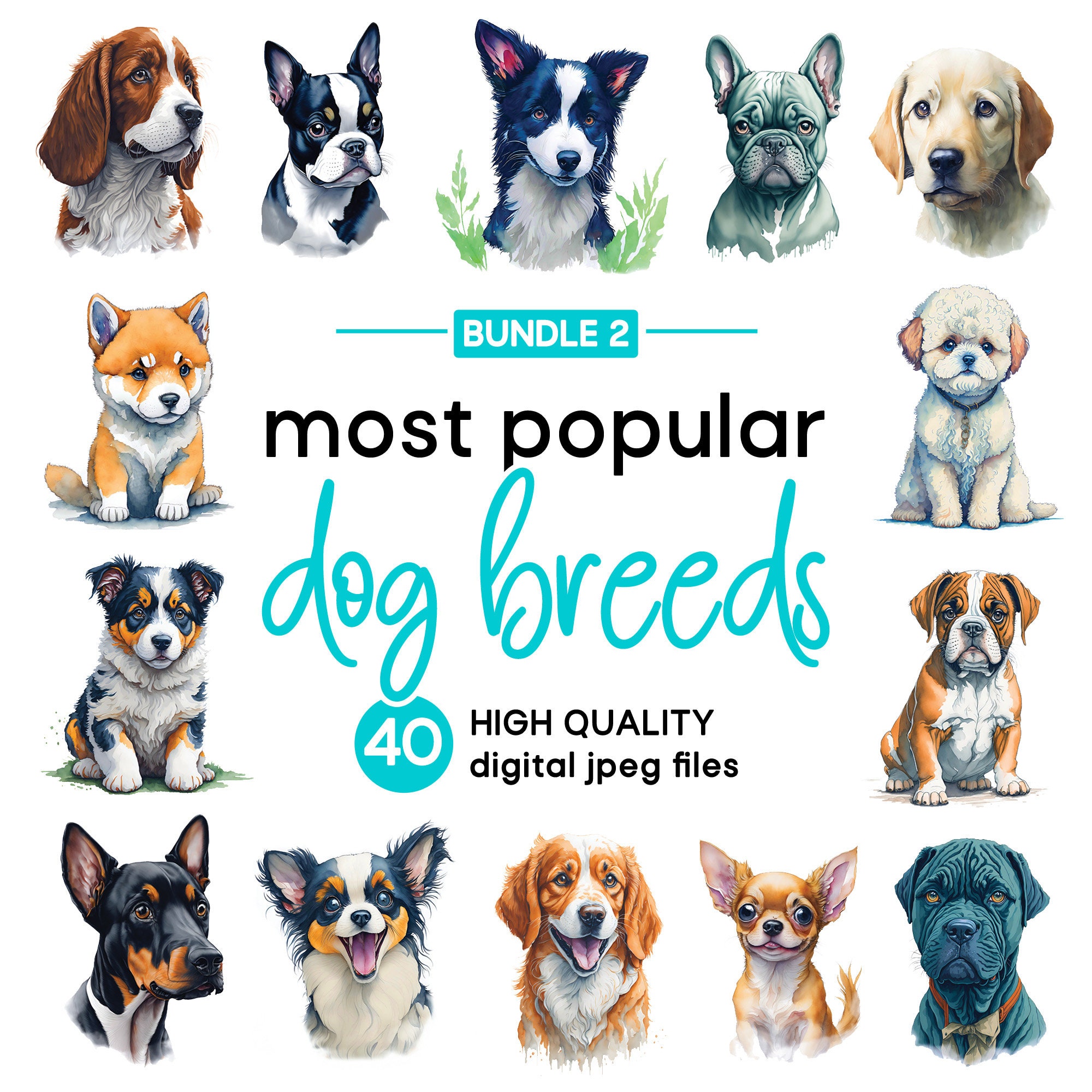 Cute Popular Dog Breeds Digital Clipart Printables Gift Dog Lover ...