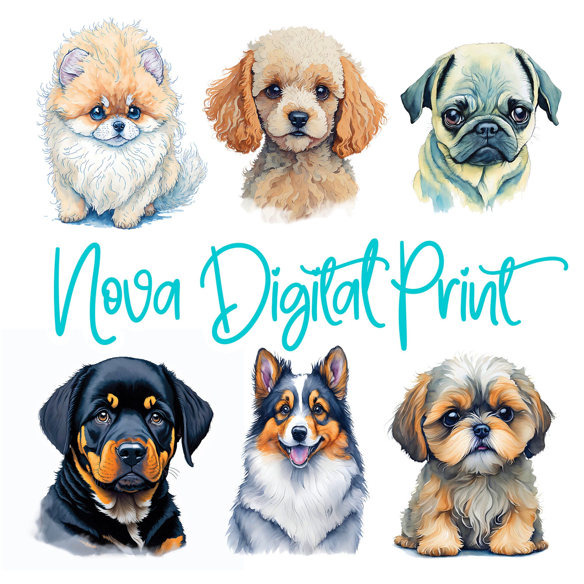Cute Popular Dog Breeds Digital Clipart Printables Gift Dog Lover ...
