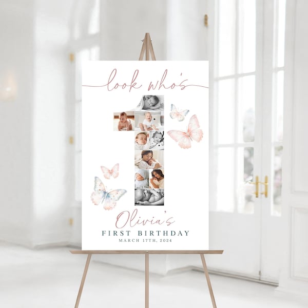 Butterfly Display - Etsy