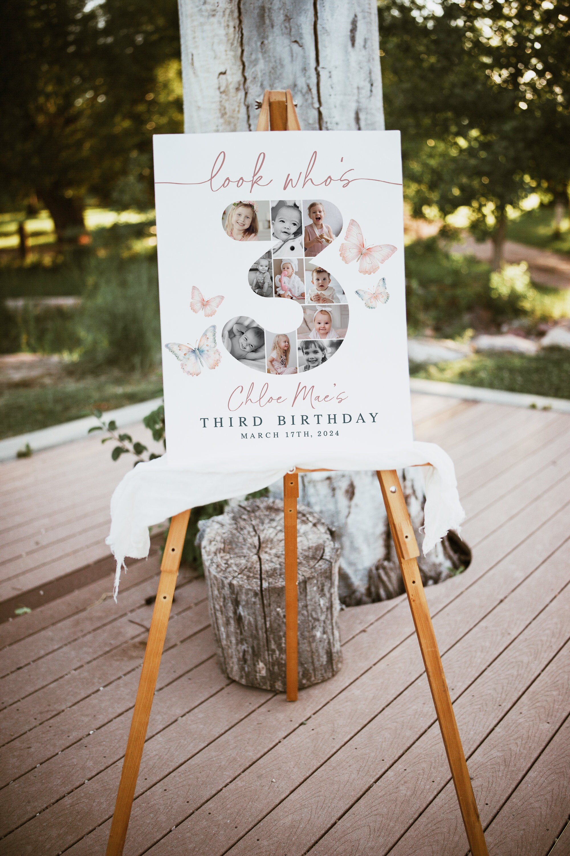 Pink Butterfly 3rd Birthday Welcome Sign TEMPLATE, Look Who's 3, Photo ...