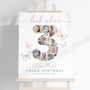 Pink Butterfly 3rd Birthday Welcome Sign TEMPLATE, Look Who's 3, Photo ...
