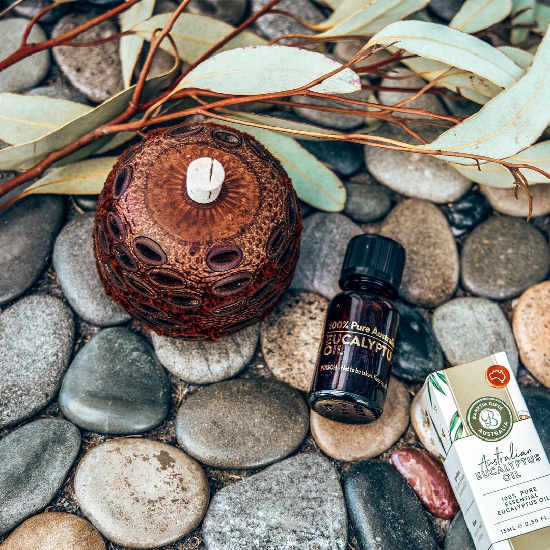 Banksia Pod Diffuser - Etsy