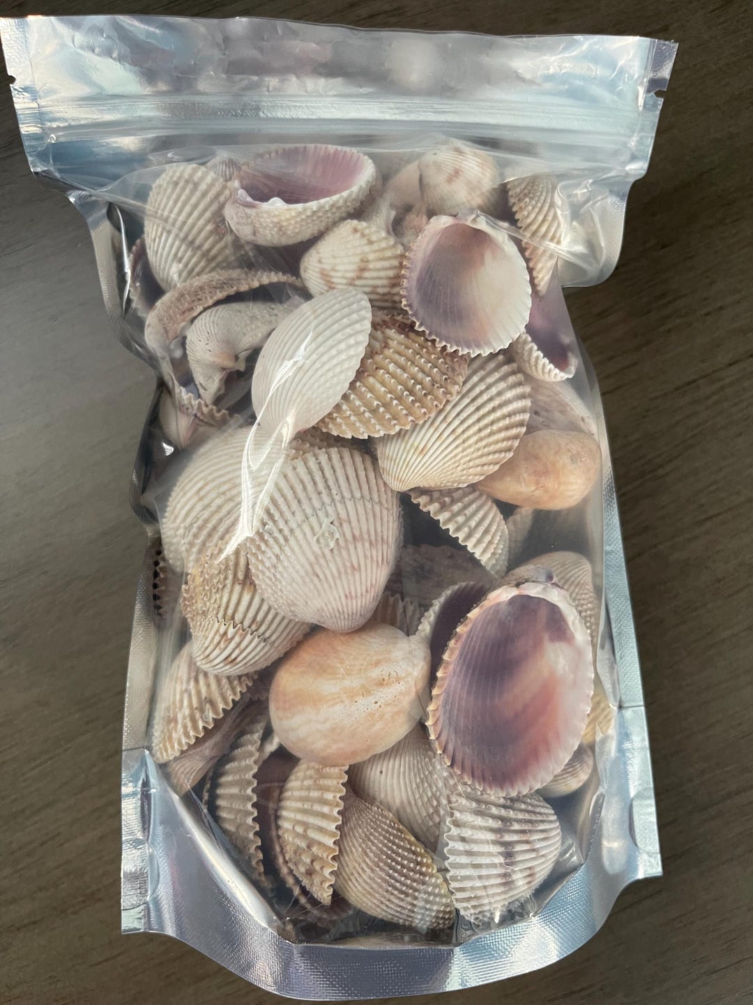 70 PCS Mosaic ART Materials Medium Clam Sea Shells Perfect for Texture ...