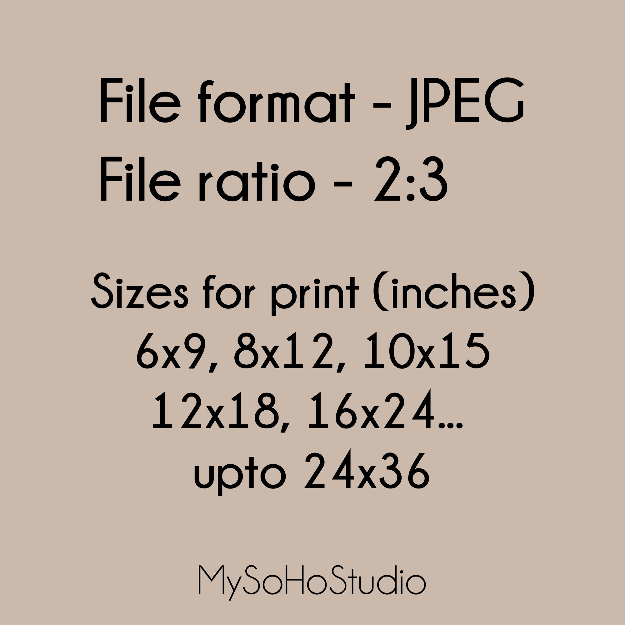 Buy ZNMD Movie Poster, Zindagi Na Milegi Dobara, Desi Wall Art ...