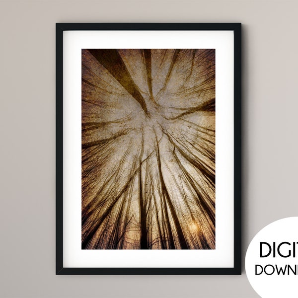 Sepia Wall Art - Etsy