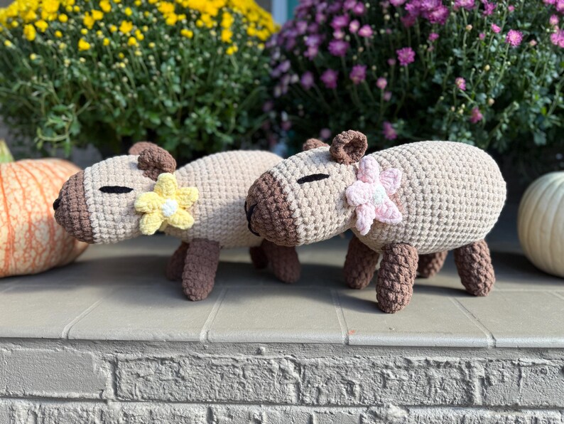 Capybara Crochet Pattern - Etsy