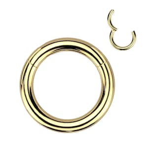 00G/0G/2G/4G/6G/8G/10G/12G Silver Implant Grade Titanium Large Gauge Hinged Clicker Segment Ring ...