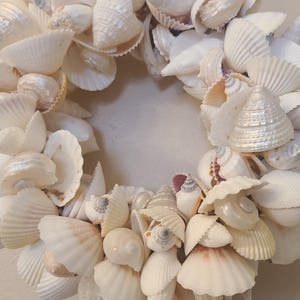 Vintage Natural Sea Shell Wreath Coastal Home Decor Conch Shells 8” - Etsy
