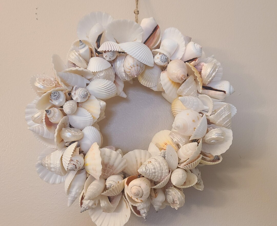 Vintage Natural Sea Shell Wreath Coastal Home Decor Conch Shells 8” - Etsy