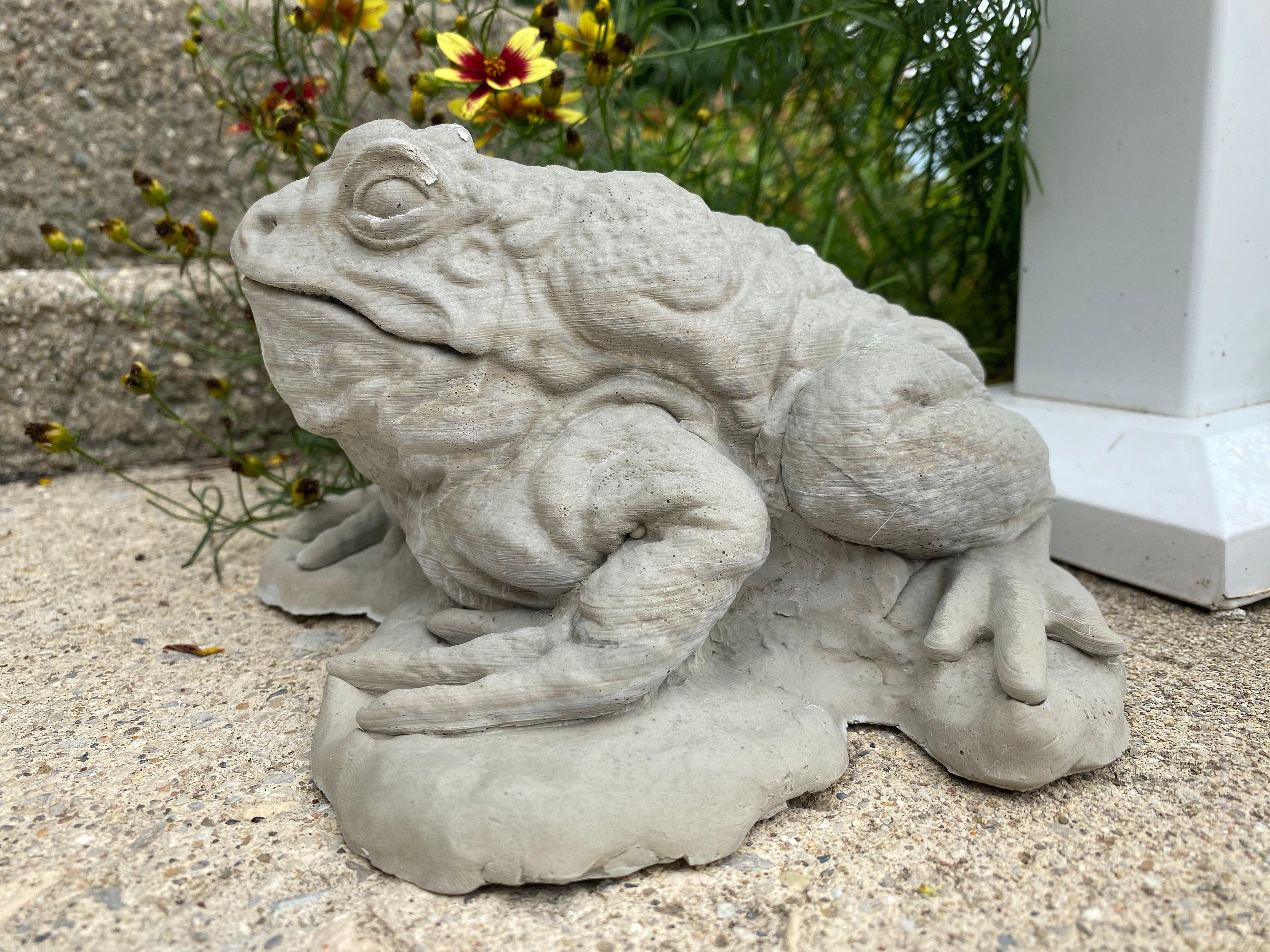 Large Concrete Toad - Etsy