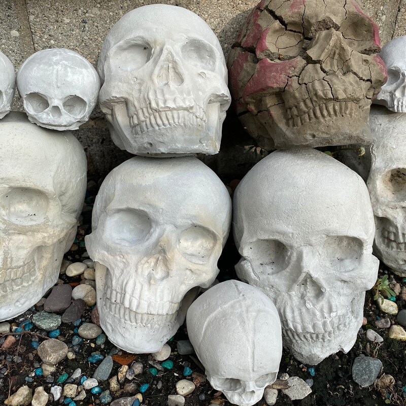 Concrete Skulls - Etsy