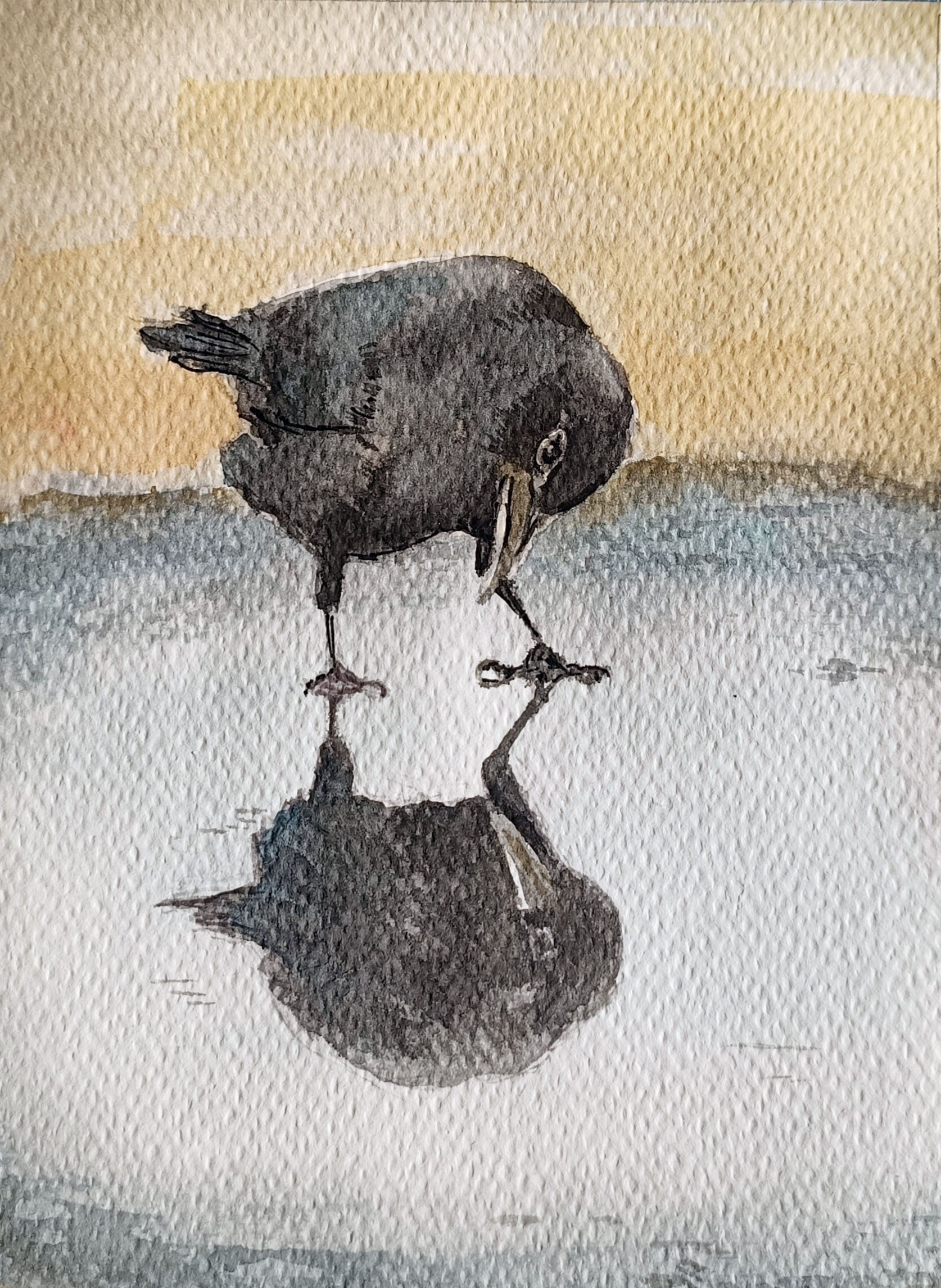 Watercolor crow and Its Reflection Original Public - Etsy