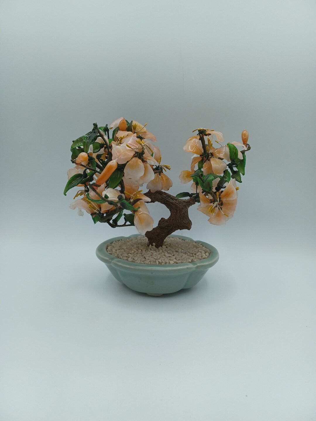 Chinese Jade Cherry Blossom Bonsai Tree - Etsy