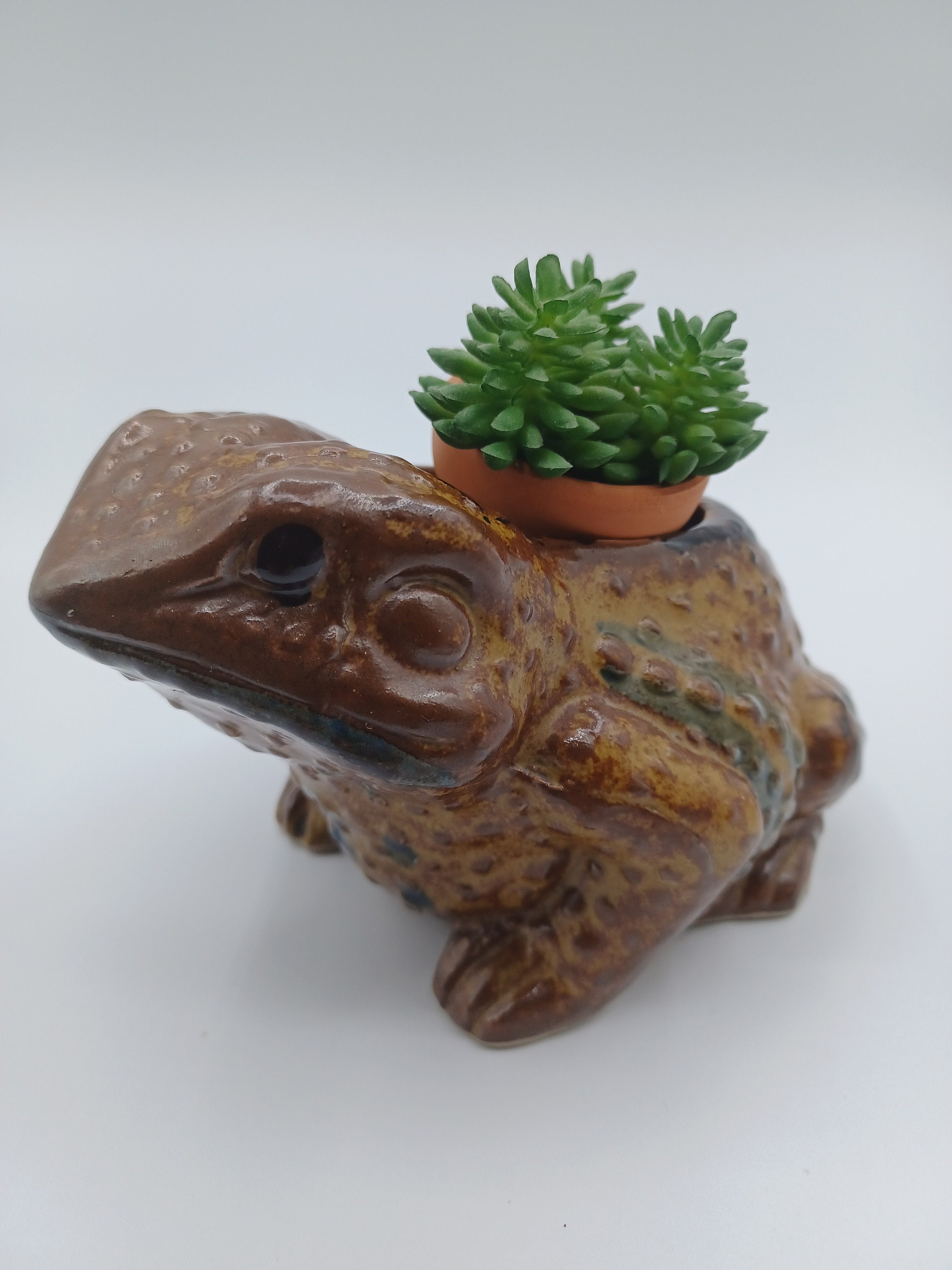 Vintage Ceramic Stoneware Toad Planter - Etsy