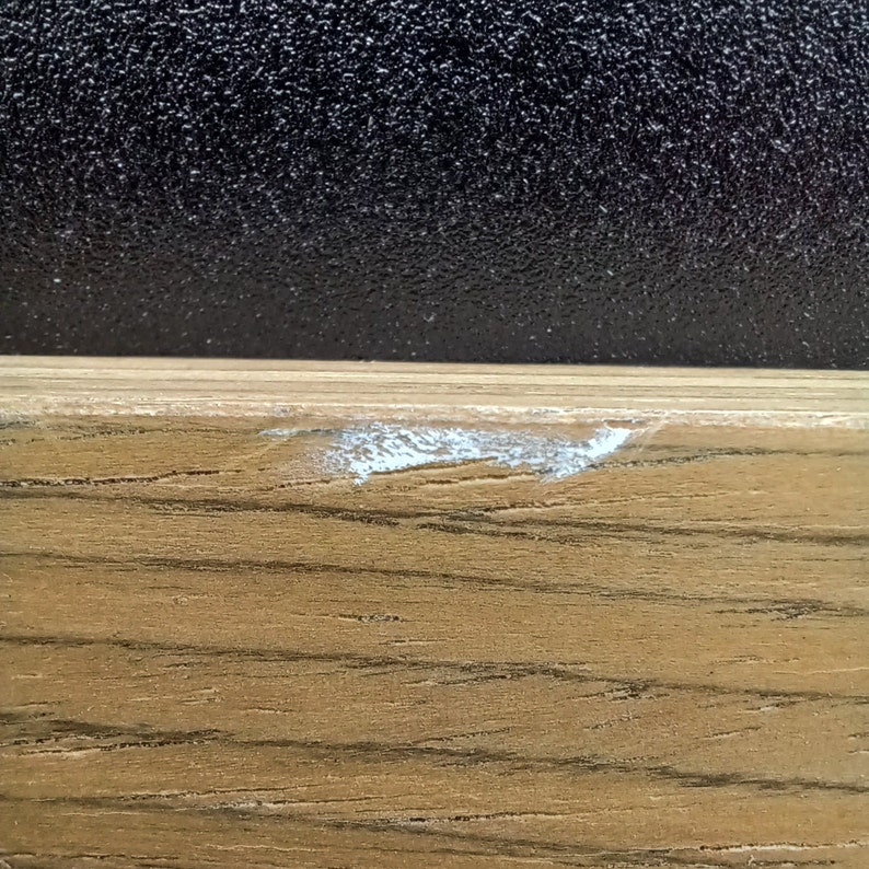 Max Conlon Original Aboriginal Art turtles Laying Eggs - Etsy