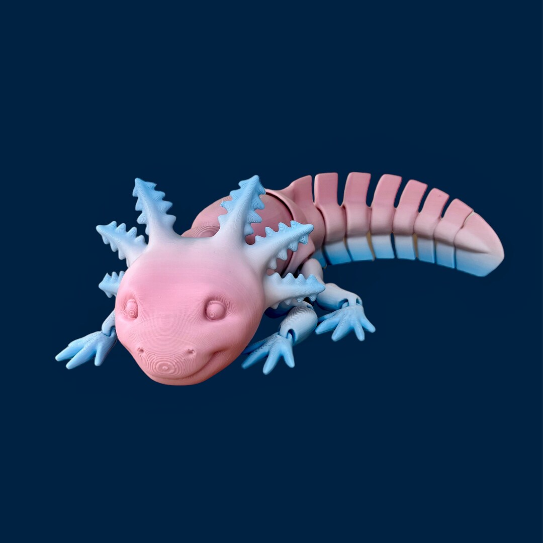 Cute Articulated Axolotl 3D Printed in Rainbow and Tri-extrusion Colors ...
