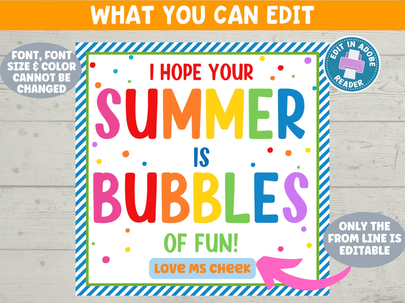 End of School Bubbles Gift Tag Printable End of Year Student - Etsy
