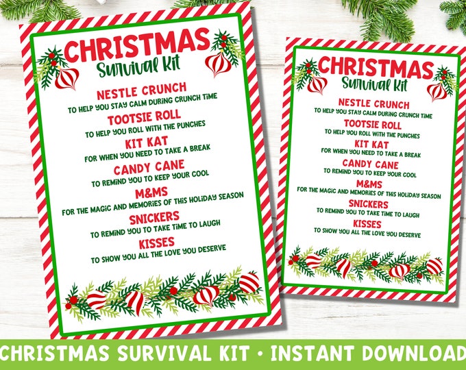 Holiday Survival Kit, Holiday Hangover Kit, Christmas Emergency Bag ...