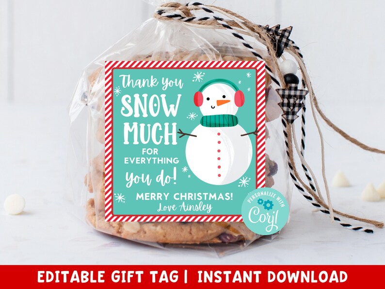 Thanks Snow Much Gift Tags Printable | Holiday Gift Tags for Teacher ...