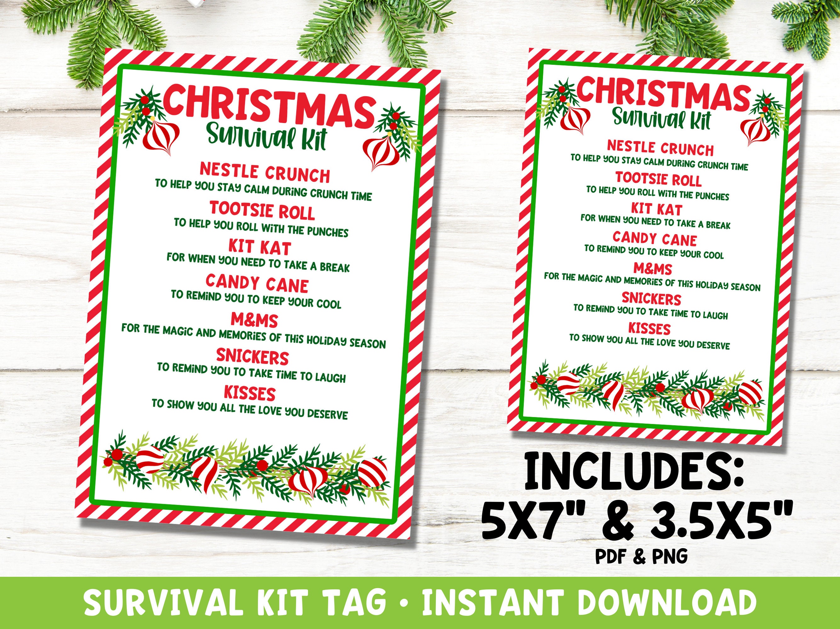 Christmas Survival Kit Gift Tags: Printable Goody Bag Tags | Instant ...