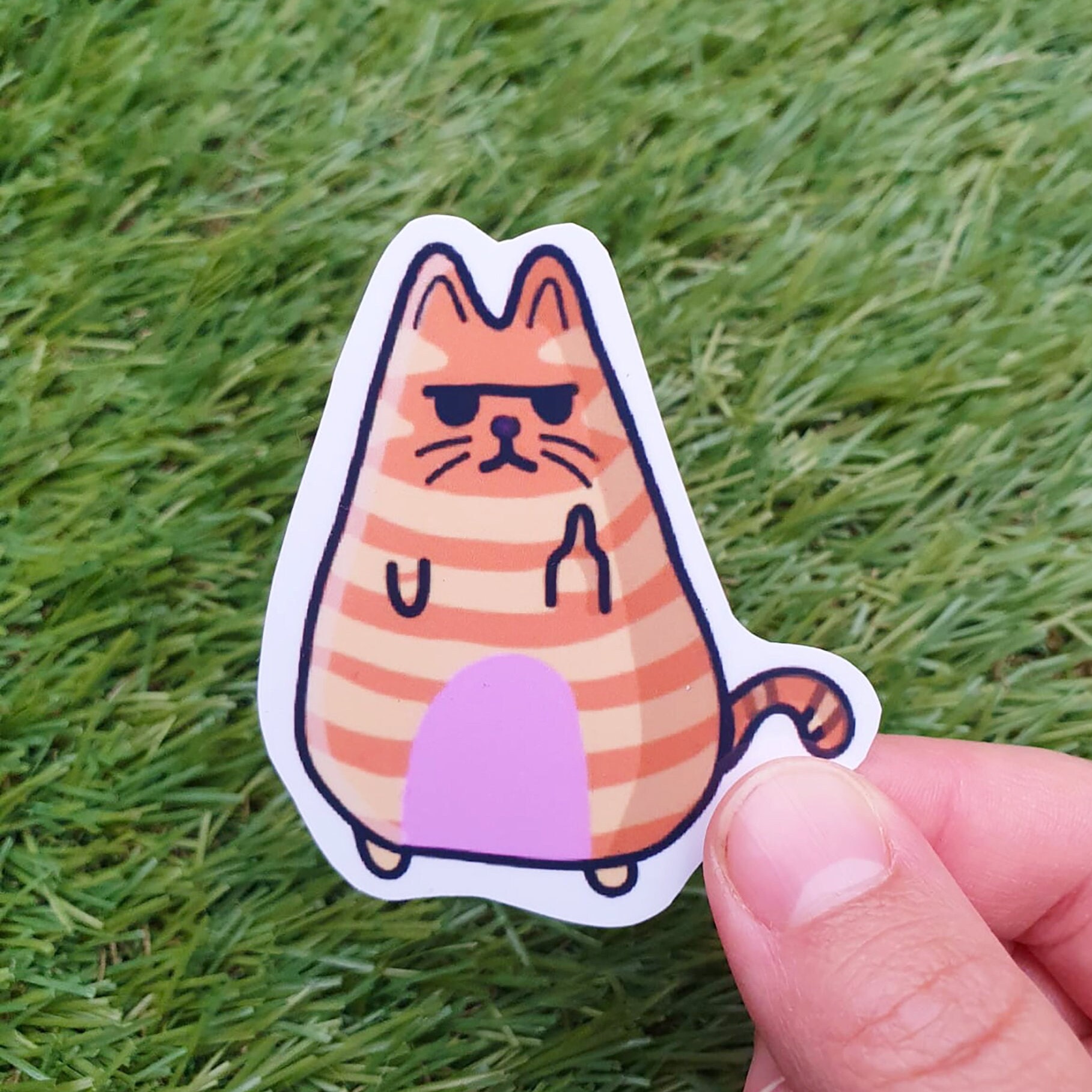 Orange Tabby Cat Vinyl Sticker, Funny Middle Finger Grumpy Cat, Gift ...
