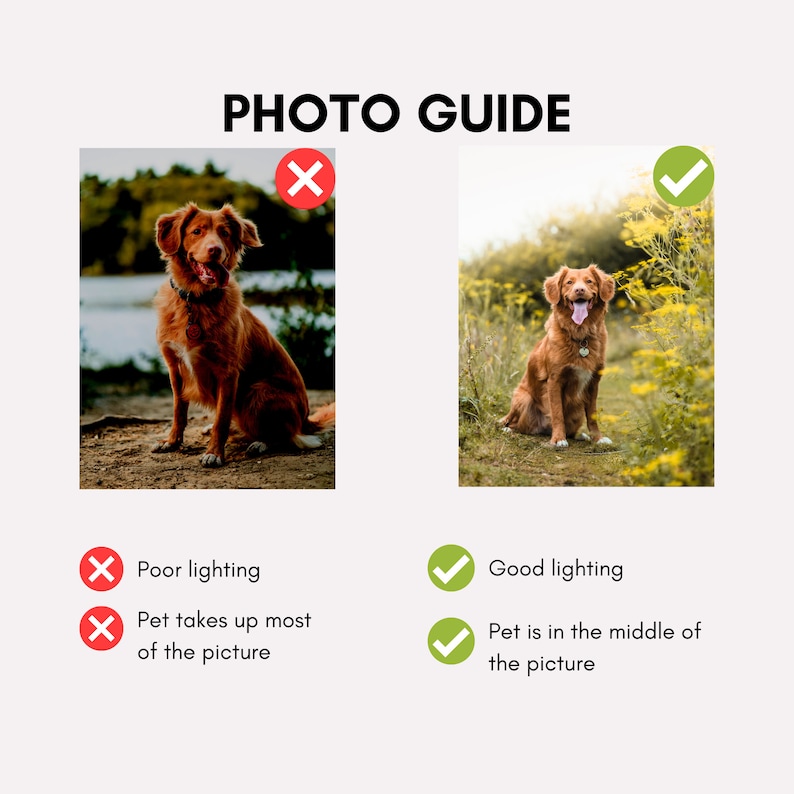 Pet Definition Pet Definition Print Custom Pet Wall Art - Etsy