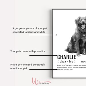 Pet Definition , Pet Definition Print , Custom Pet Wall Art ...