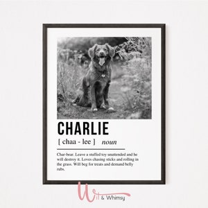 Pet Definition Pet Definition Print Custom Pet Wall Art - Etsy