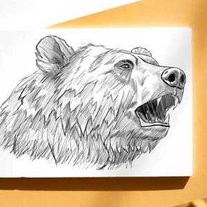 Bear Sketches: Digital Art Print Bundle | Wildlife Bear Art | Instant ...