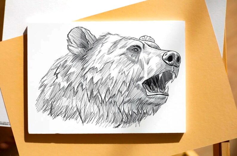 Bear Sketches: Digital Art Print Bundle | Wildlife Bear Art | Instant ...