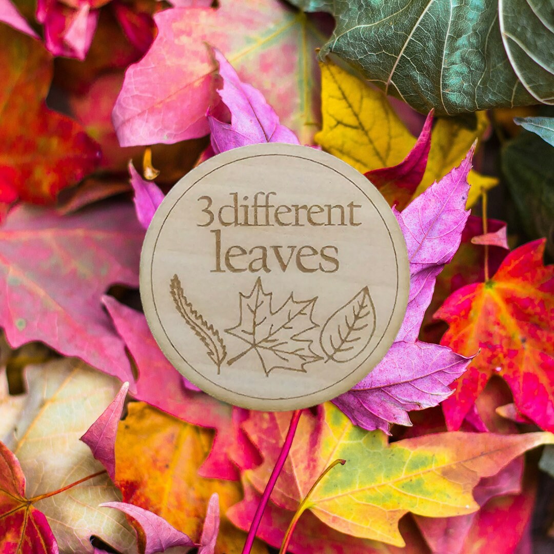 Scavenger Hunt Tokens Wooden Nickels - Pack of 16 - Family Fun for Kids ...