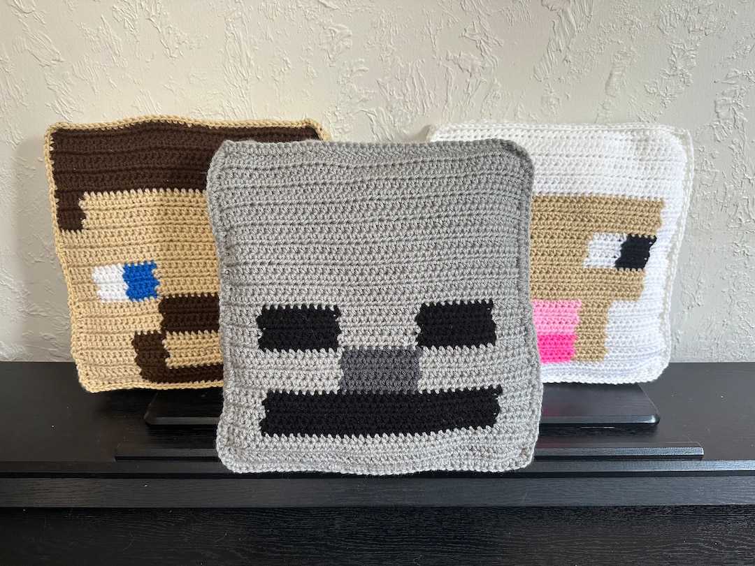 Minecraft Inspired Ghost Block Pillow Crochet Pattern - Etsy
