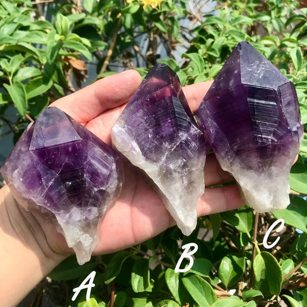 Amethyst Dragon - Etsy