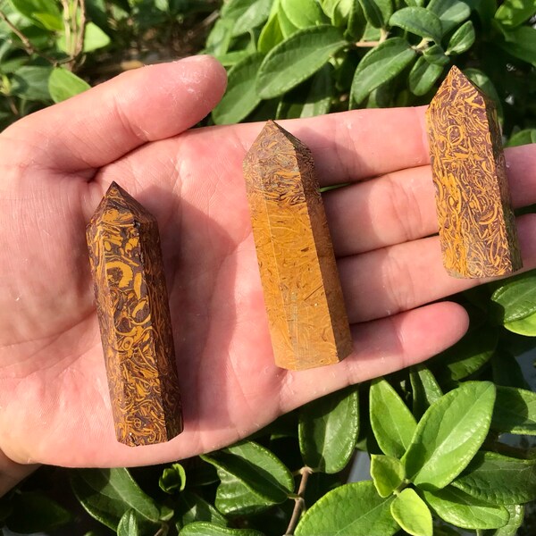 Coquina Jasper - Etsy