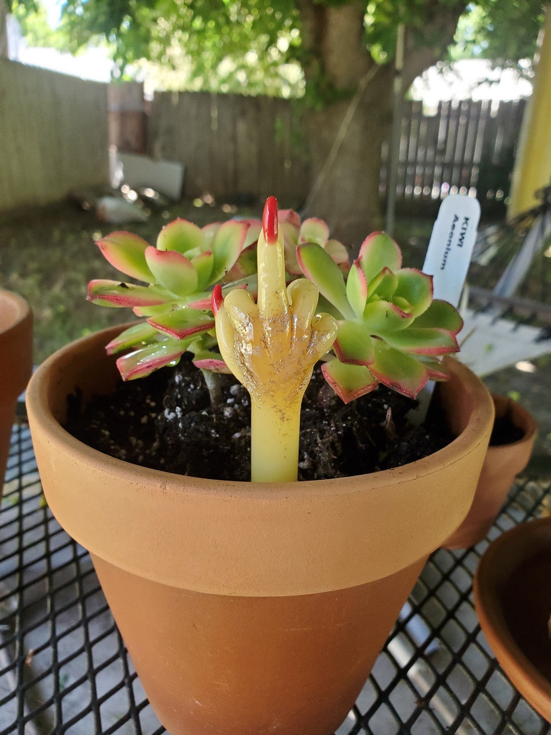 Plant Decor - Female Zombie Hand - Etsy