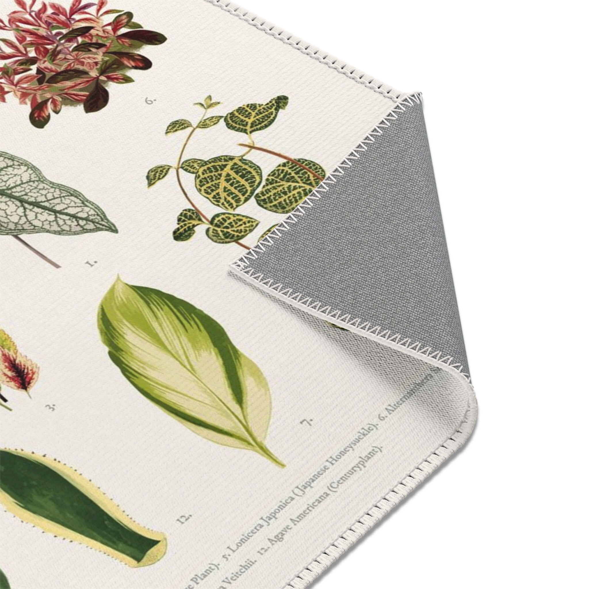 Vintage Simple Plant Illustration Area Rugs - Etsy