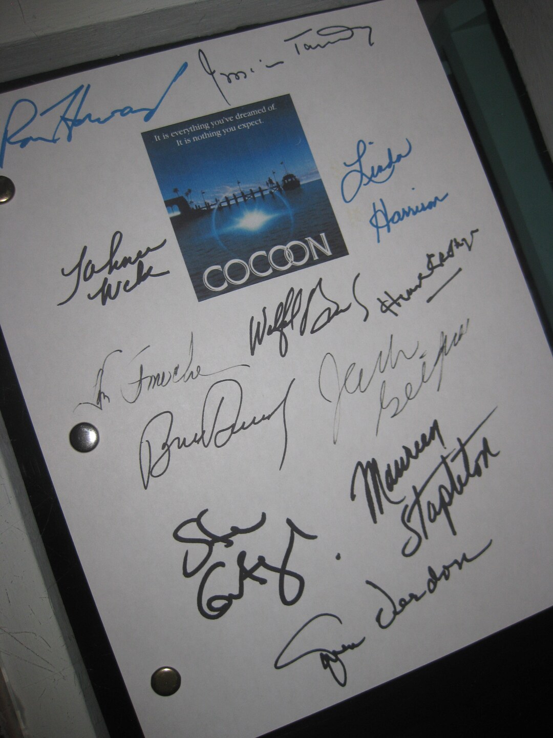 Cocoon Signed Film Movie Screenplay Script X12 Don Ameche Wilford ...