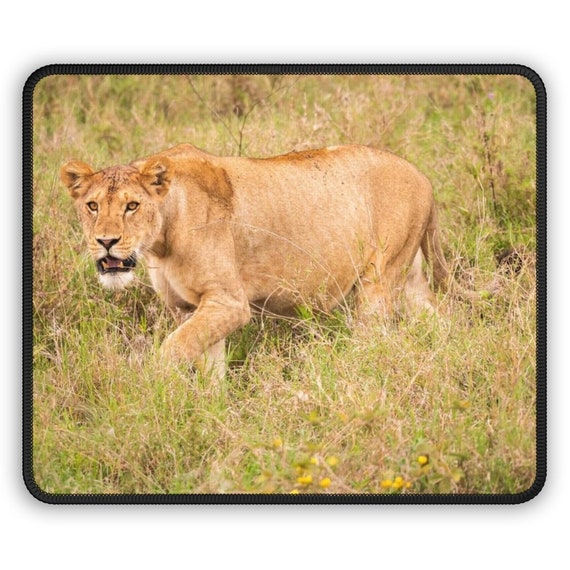 Lion Stalking in the Grass Mouse Pad | Etsy