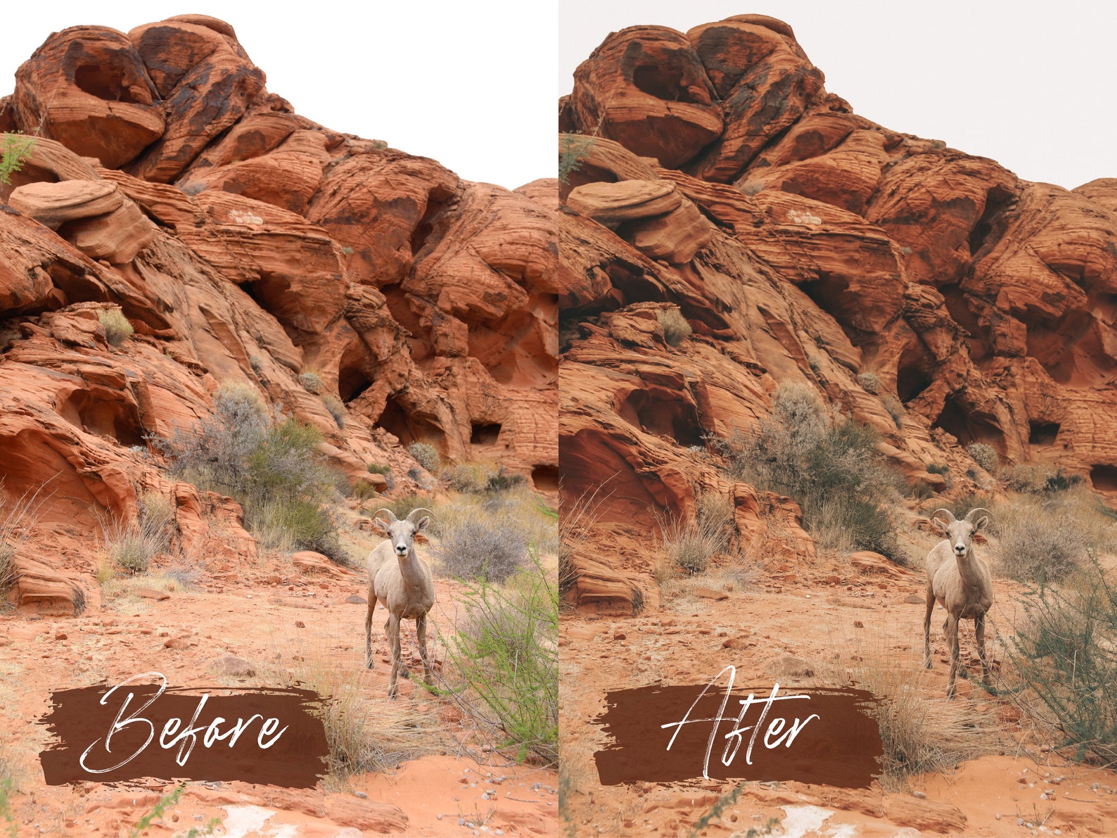 Lightroom Presets Desert Theme 5 Mobile DNG Lightroom - Etsy
