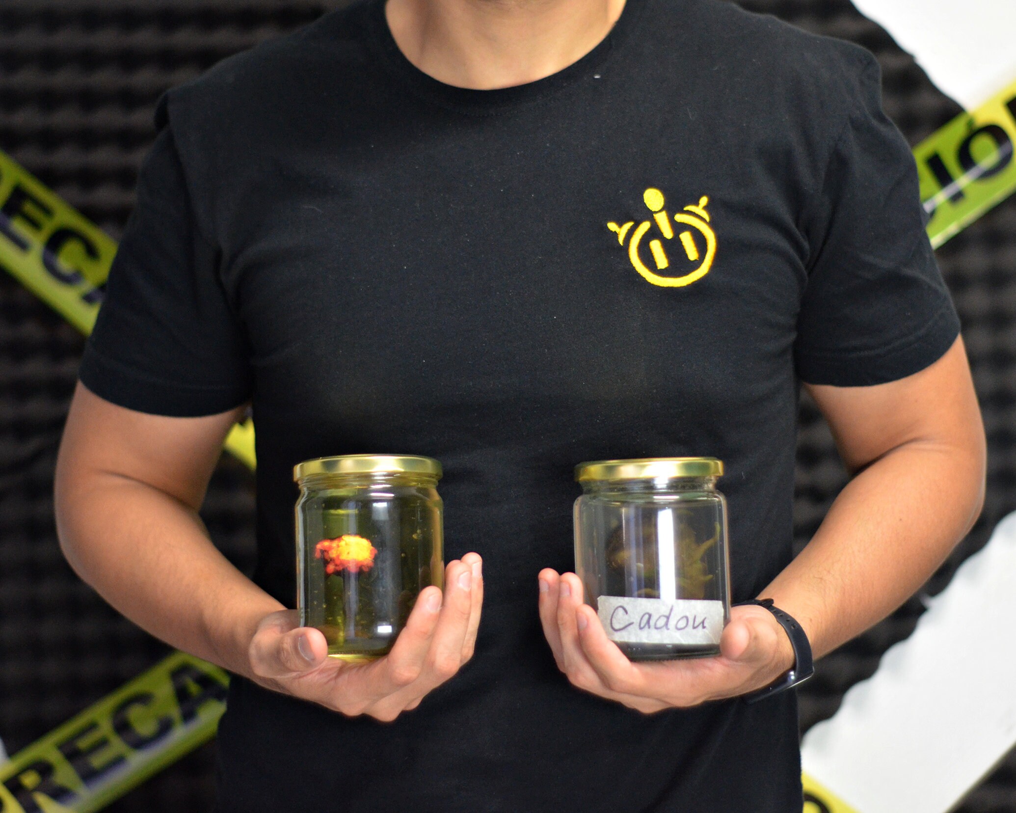 Resident Evil Jars 3-pack Nemesis Las Plagas Cadou KIT Collection - Etsy