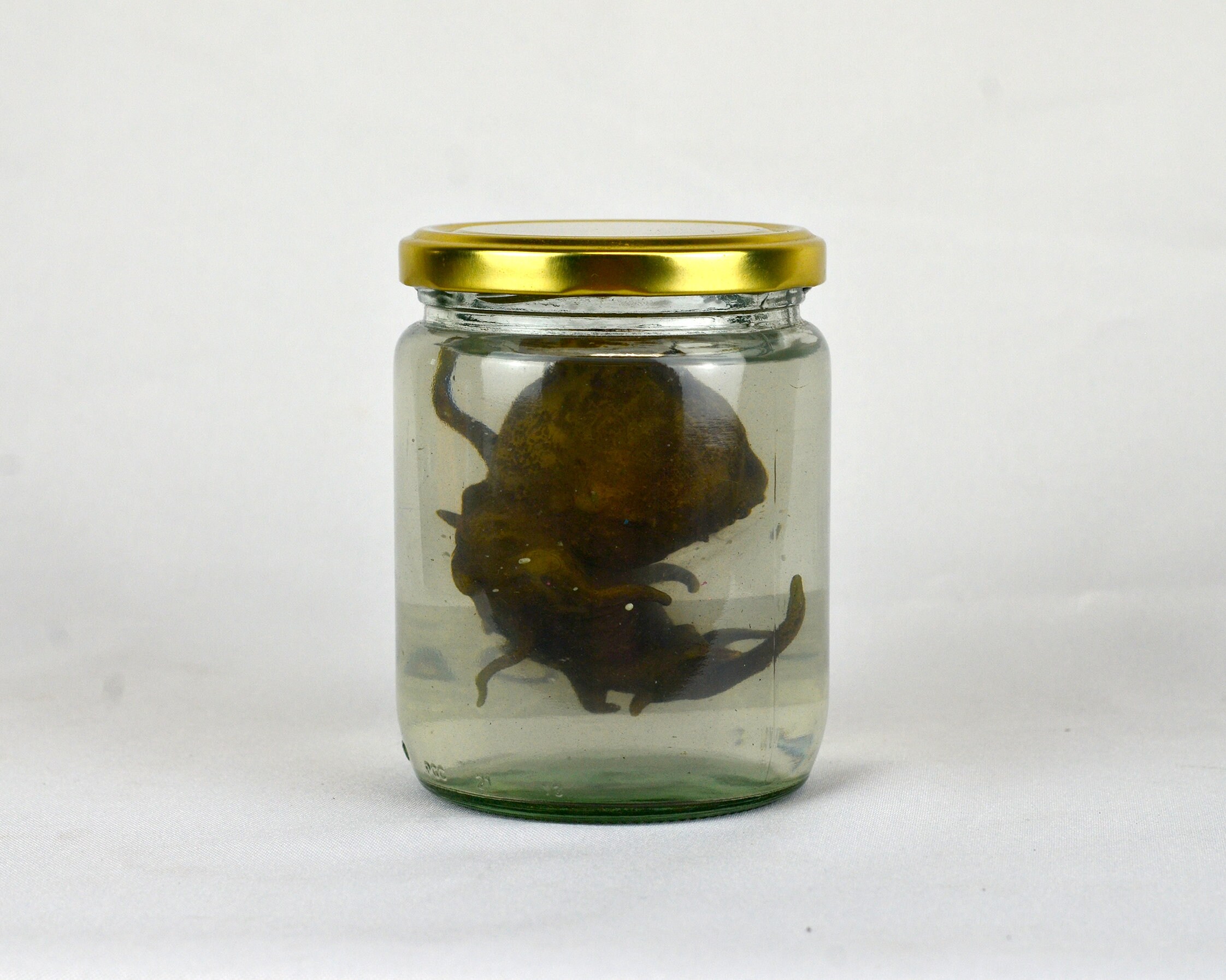 Resident Evil Jars 3-pack Nemesis Las Plagas Cadou KIT Collection - Etsy