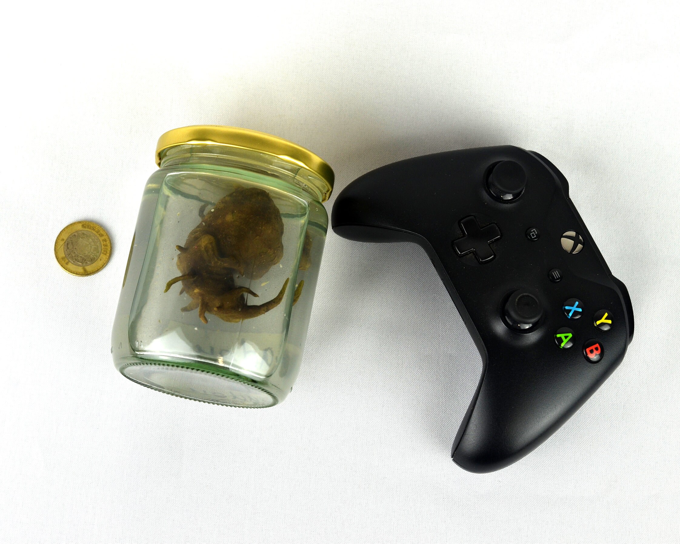 Resident Evil Jars 3-pack Nemesis Las Plagas Cadou KIT Collection - Etsy