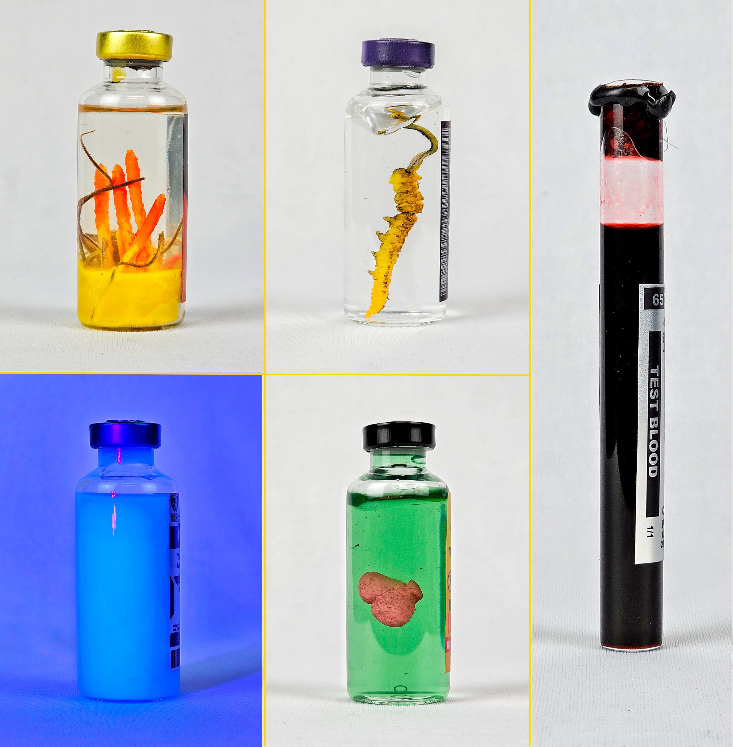 The Last of Us Virus Rack With 4 Vials and 1 Test Tube Included KIT ...