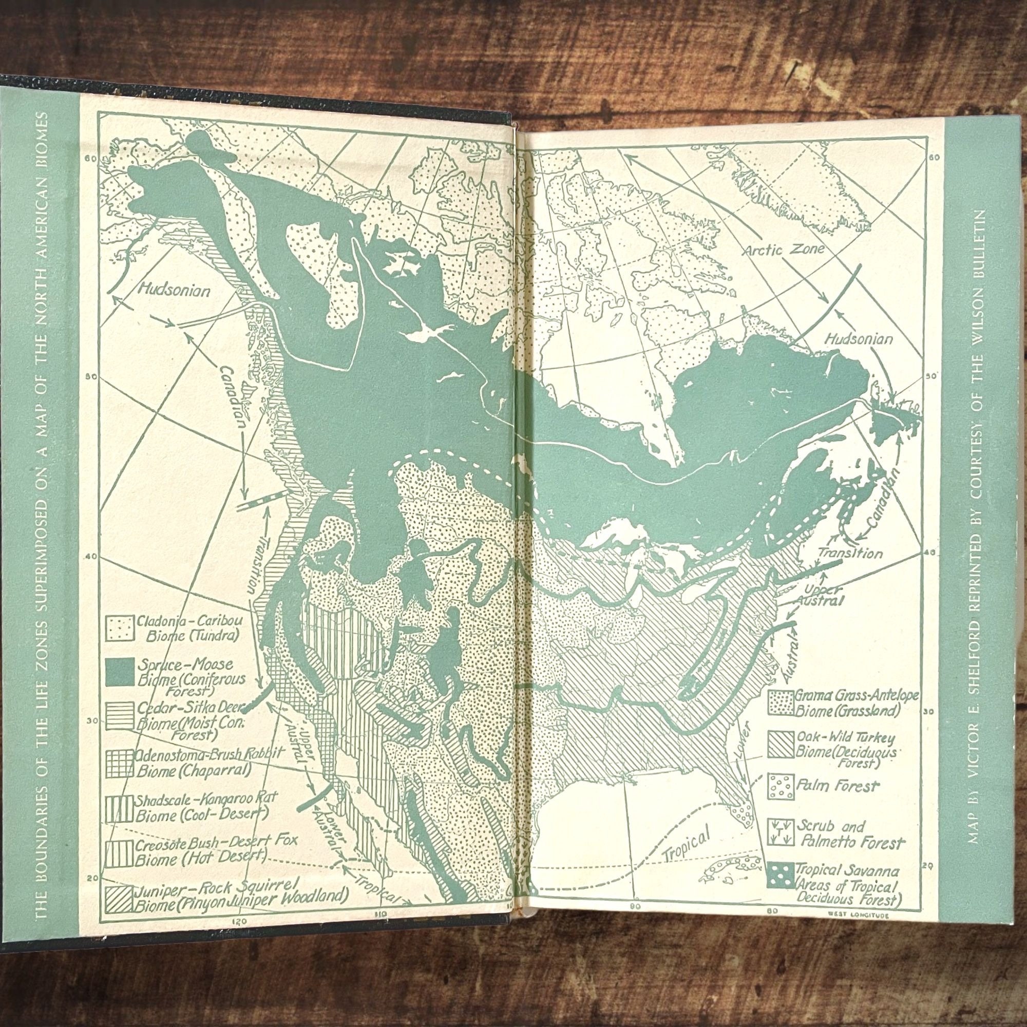 Audubon Bird Guide Eastern Land Birds 1946 Richard Pough - Etsy